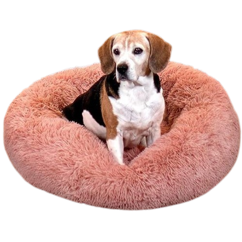 PALO ROSA 1 jpg SAS 1 removebg preview (1) — Postimages