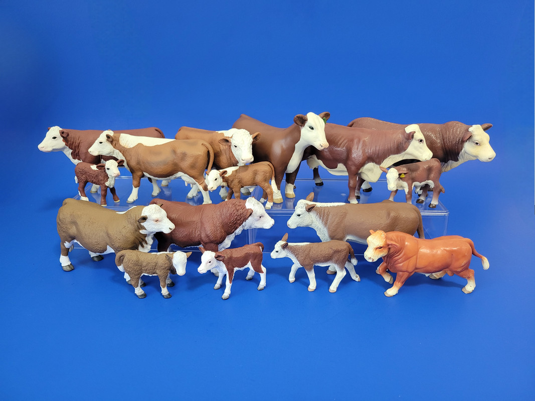 New 2024 Mojo Fun Hereford bull and calf