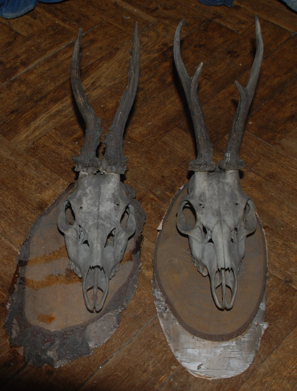 DSC 0477 — Postimages