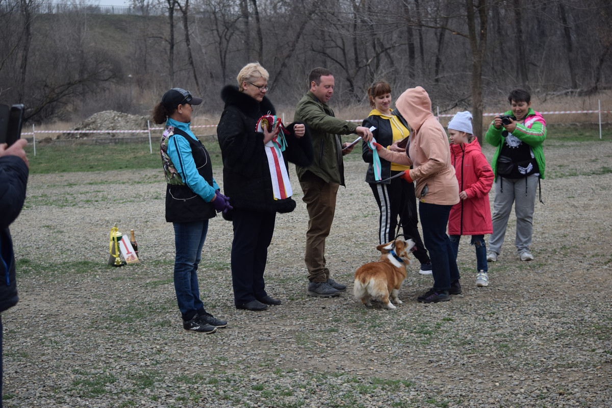 DSC 0138 — Postimages