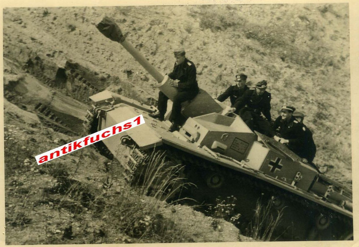 senf 52 — Postimages