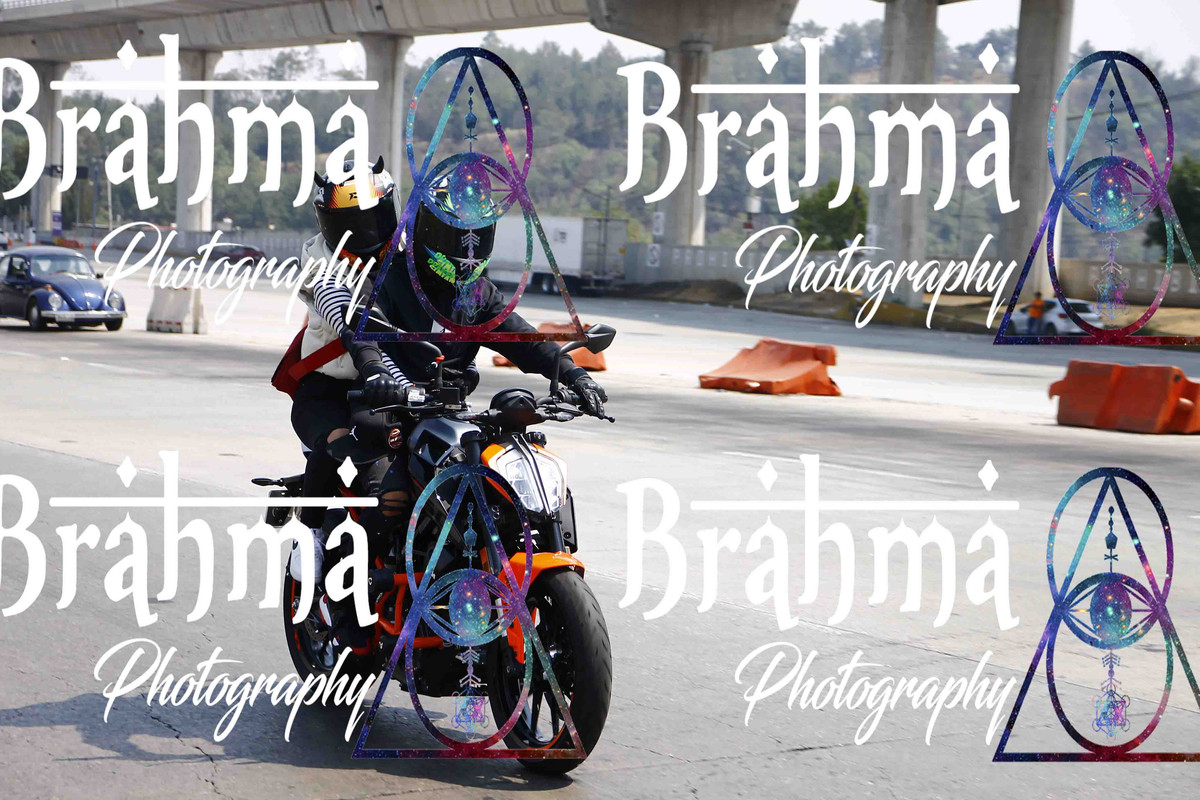 MG 2436 — Postimages