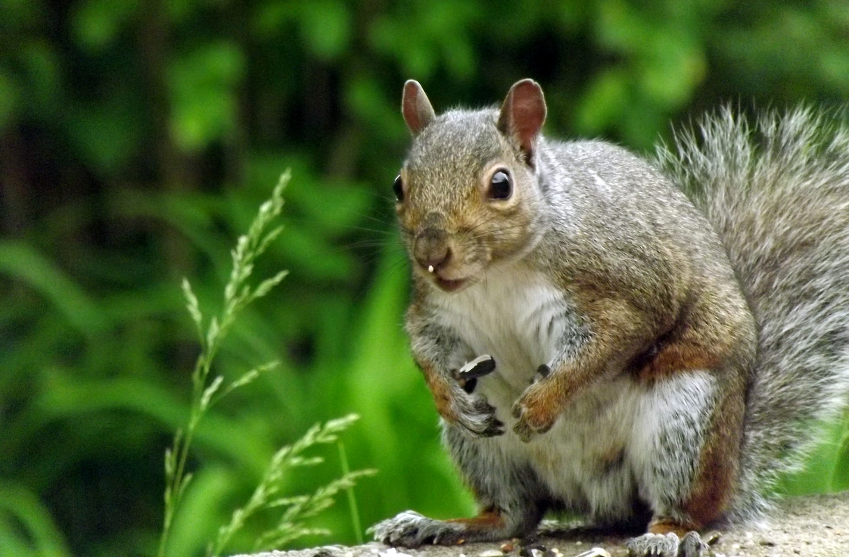 DSCF1946 b — Postimages