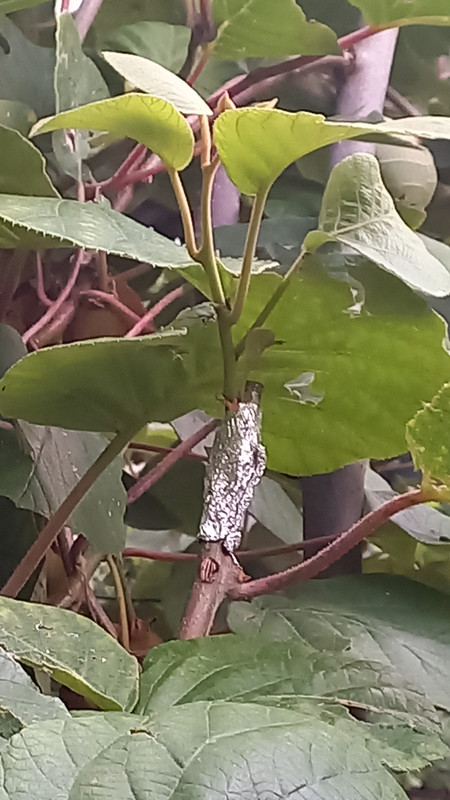 20220714 200226 — Postimages