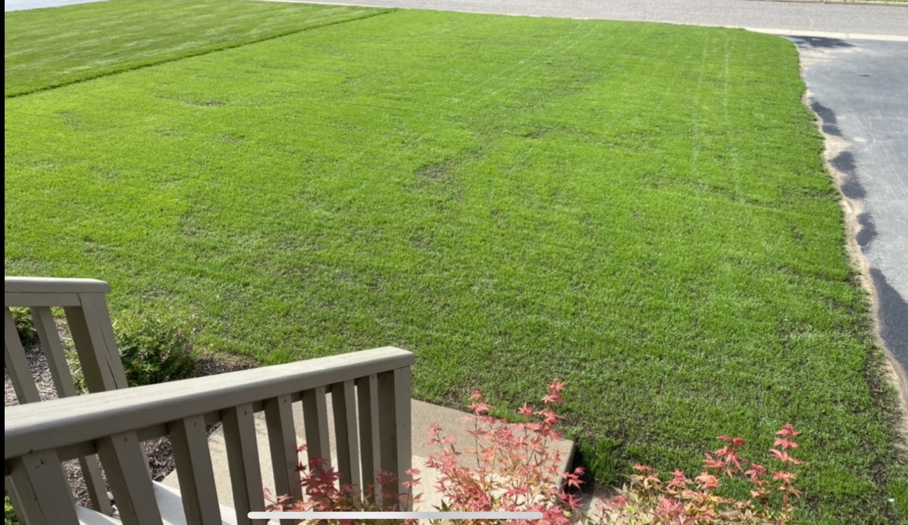 Its a wash | Lawn Care Forum