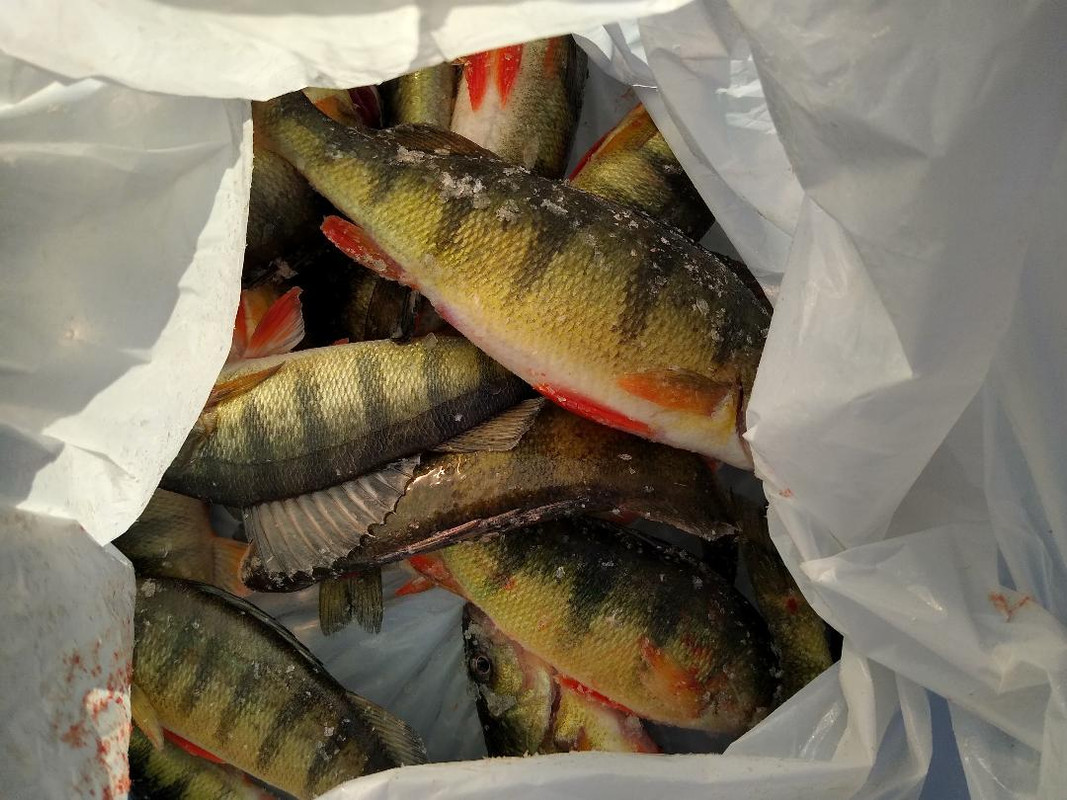 thumbnail 23 — Postimages