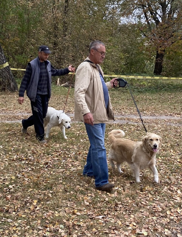 IMG 3355 — Postimages