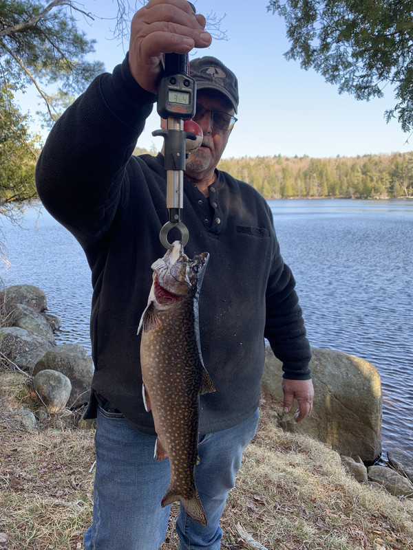 6 F1 BC31 D DB76 4 E32 B92 F FEE64 EF9 DEDA — Postimages