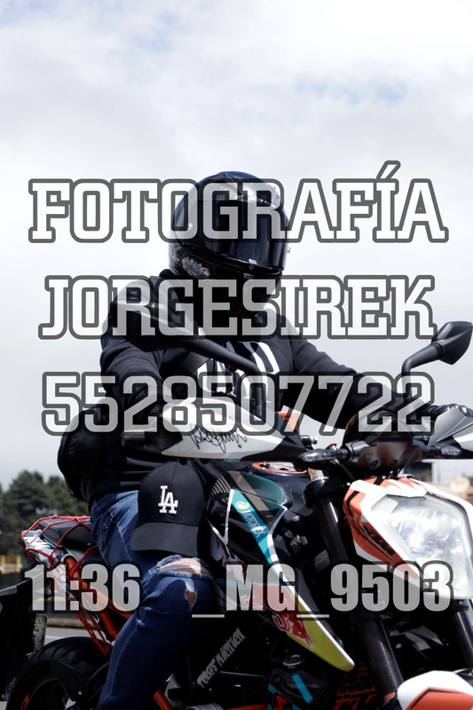 MG 9503 — Postimages