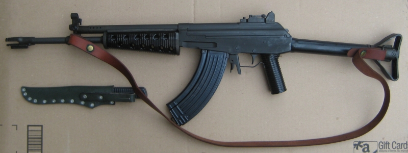 New to AK. Need advice and SA85M | AK Rifles