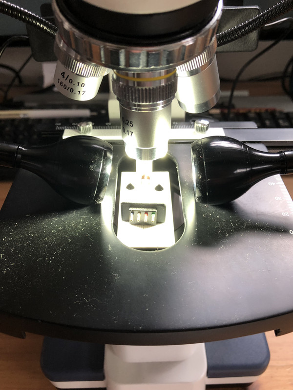 Microscopes are really useful! (page 1) - Cartridges and Styli - Lenco ...