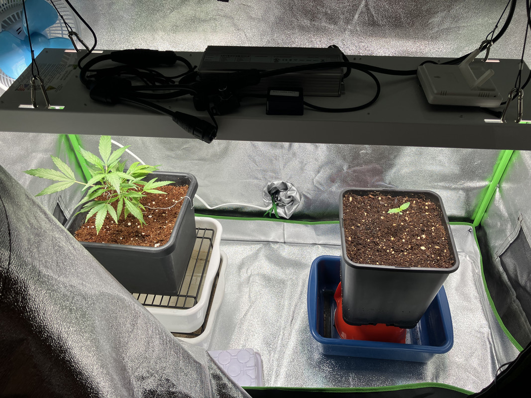 1 OCT 6 2023 IMG 2539 — Postimages