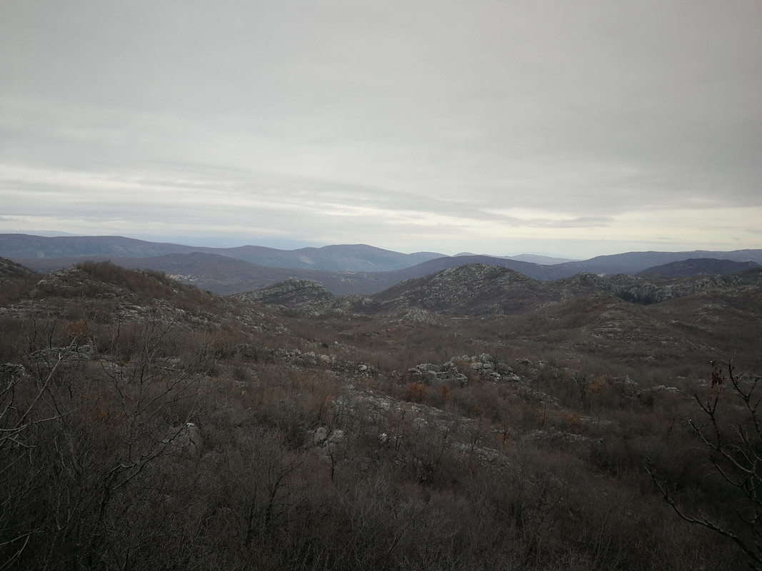 IMG 20210111 141247 — Postimages