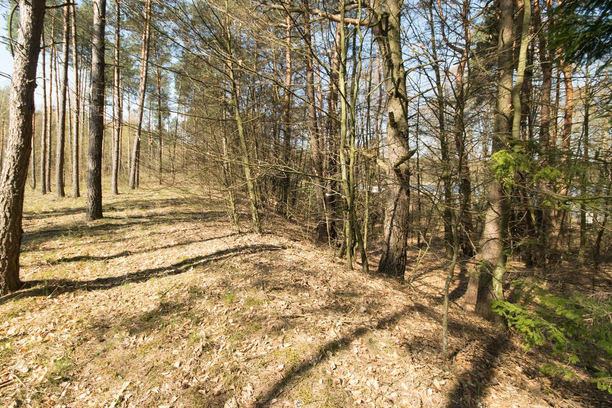 DSC 0031 — Postimages