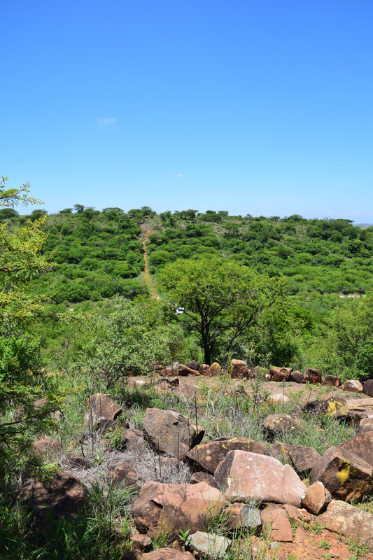 DSC 0399 — Postimages