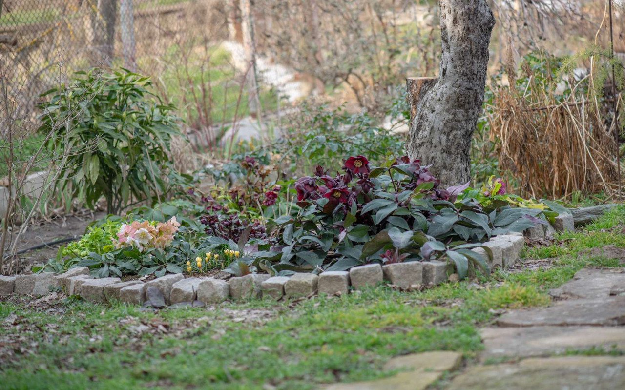 IMG 4fc818bc8050715939ec5fb761f3276a V — Postimages