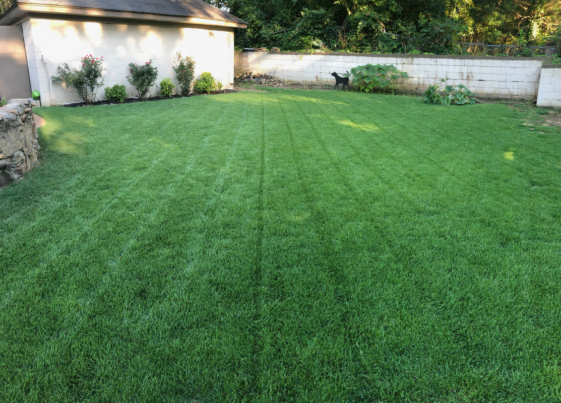 August 1st back yard — Postimages