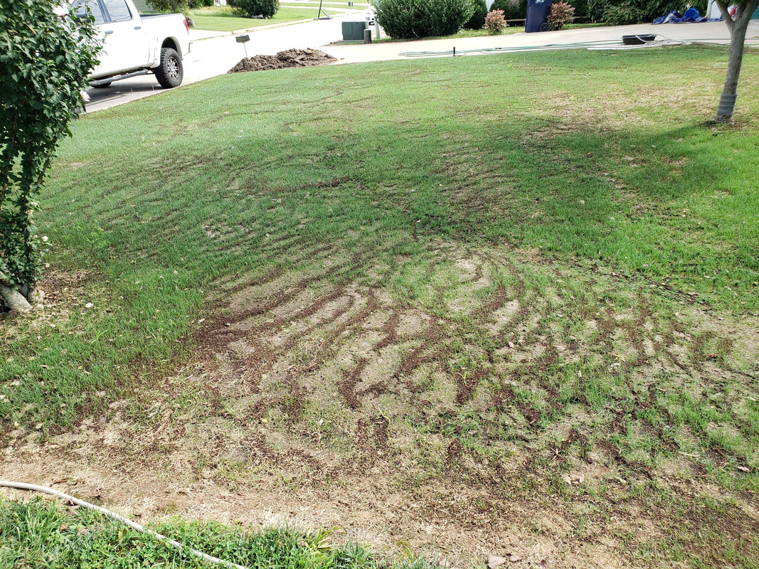 Reno disaster | Lawn Care Forum