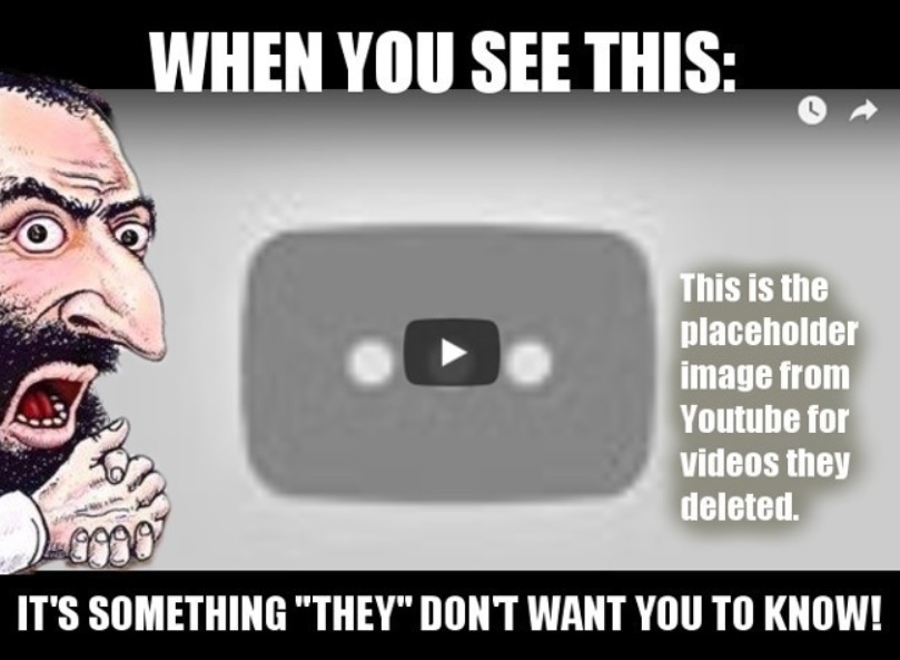 Meme Youtube placeholder image deleted videos something they don t want ...