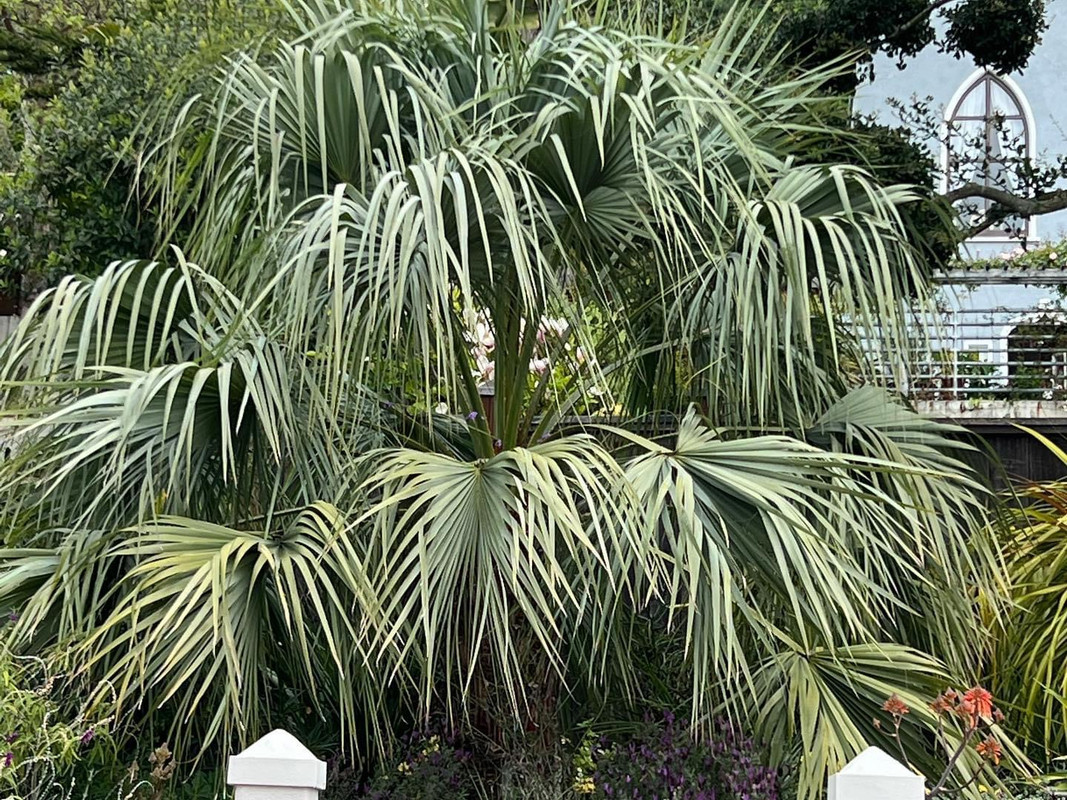 1 E550 FD1 881 E 49 D9 84 E1 BF03 EA26 D6 CB — Postimages