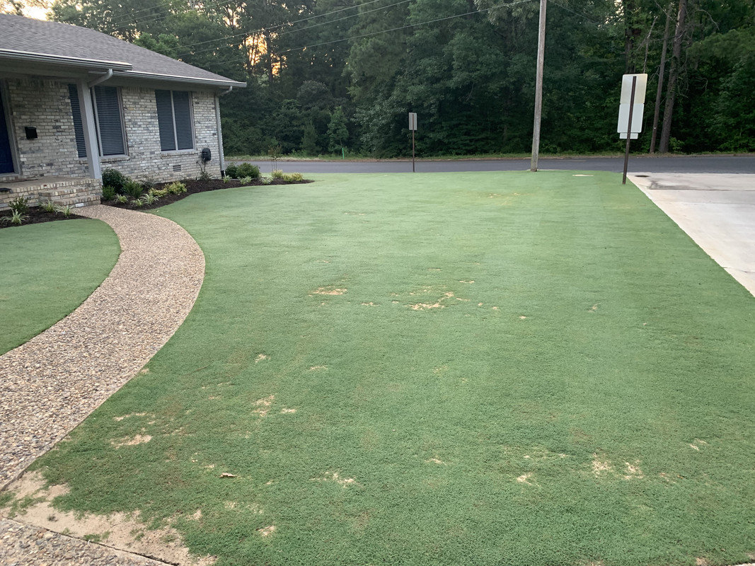 What height to scalp and maintain at 3/8 inch | Lawn Care Forum