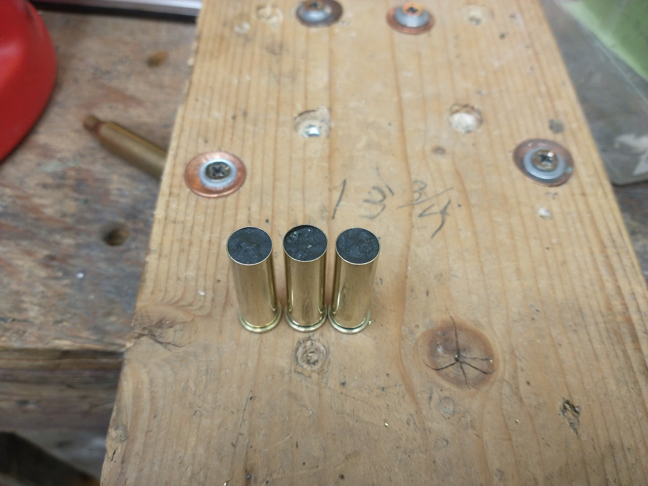 Who'd a thought?? | Shooters Forum