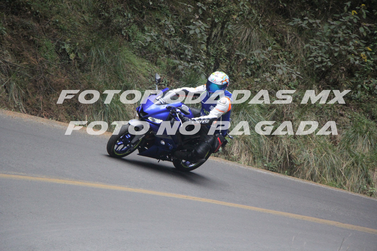 IMG 3446 — Postimages