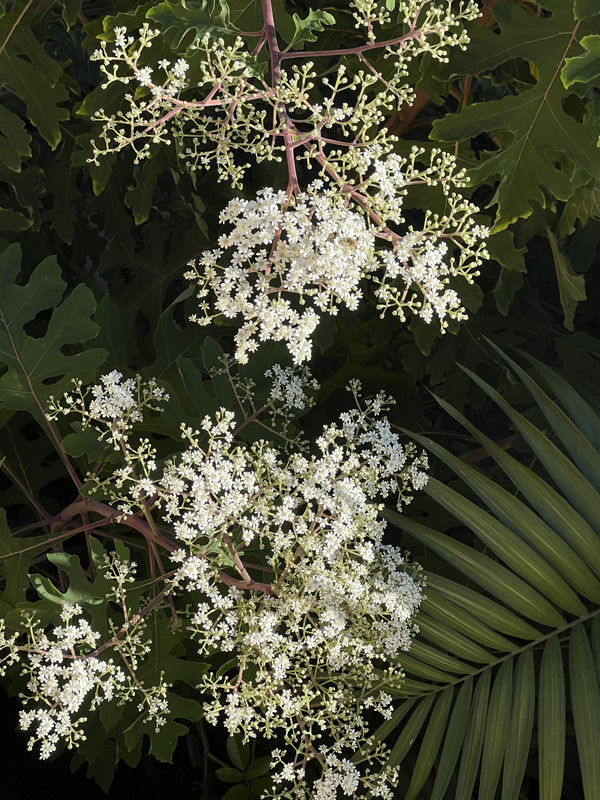 IMG 9207 — Postimages