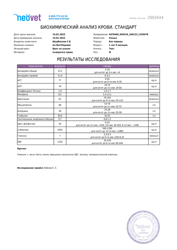 temp 1673873913 2992644 — Postimages