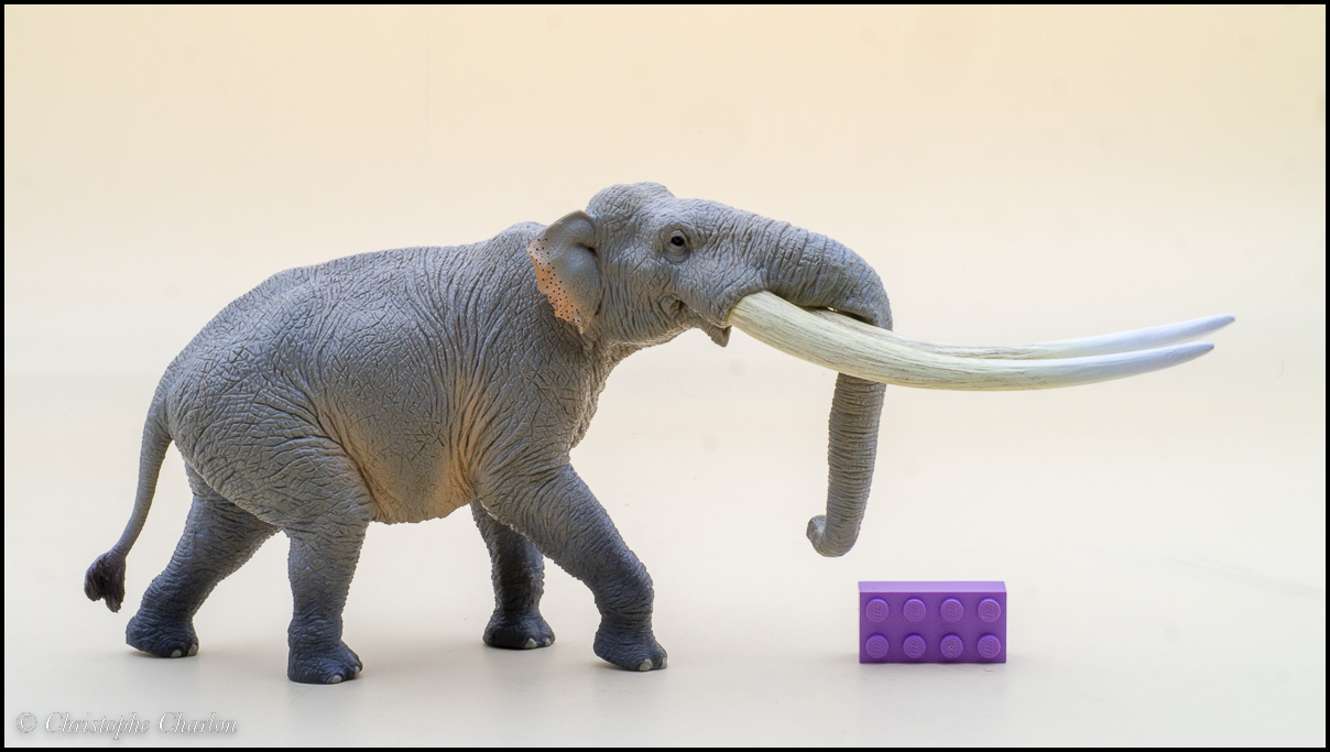 The TNG Stegodon: A walkaround by Kikimalou