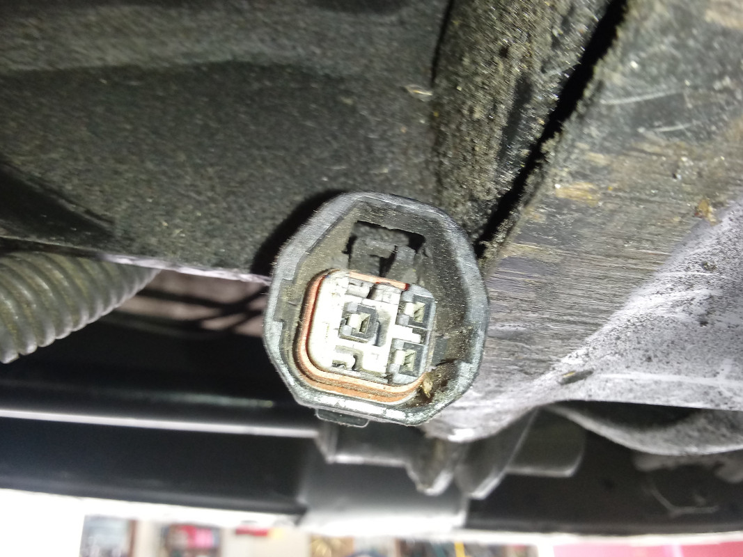 trans connection — Postimages