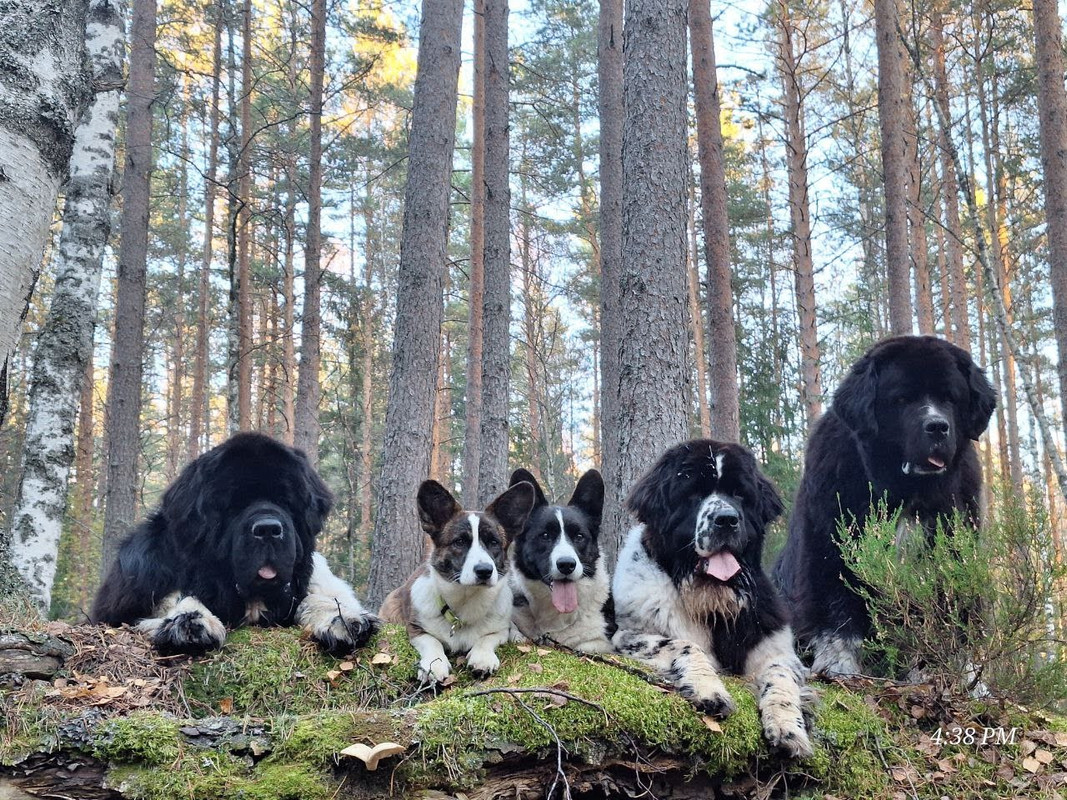 IMG 20241020 173107 203 — Postimages