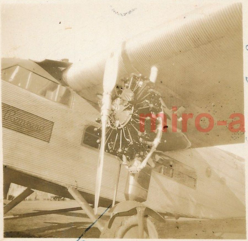 19254 — Postimages