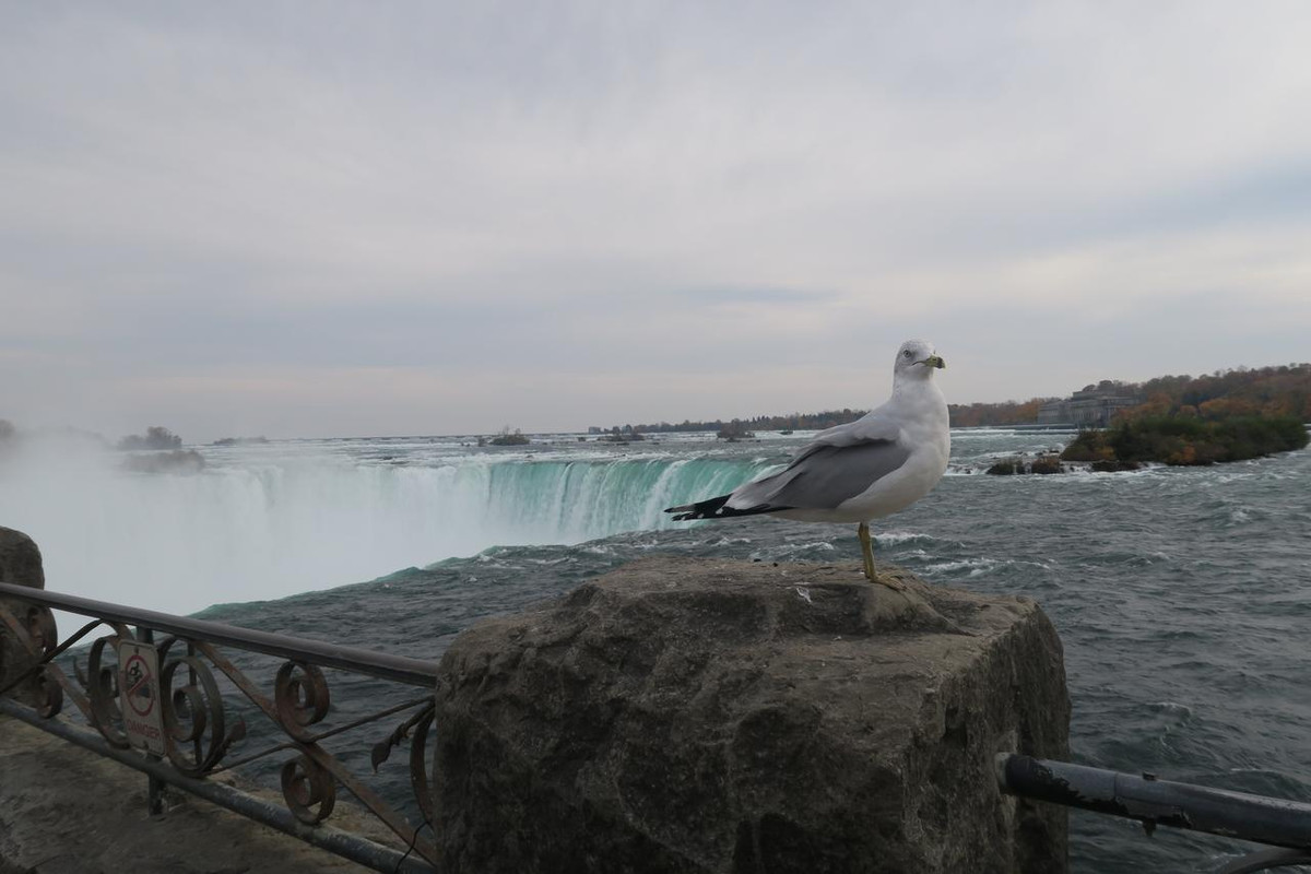 IMG 8399 — Postimages