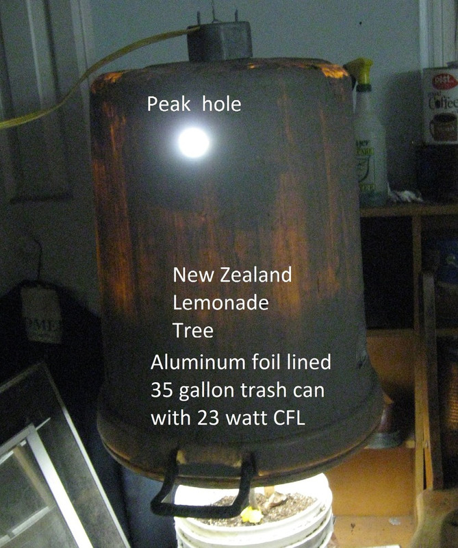 trash canlight — Postimages