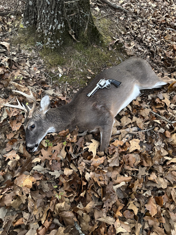 IMG 1583 — Postimages