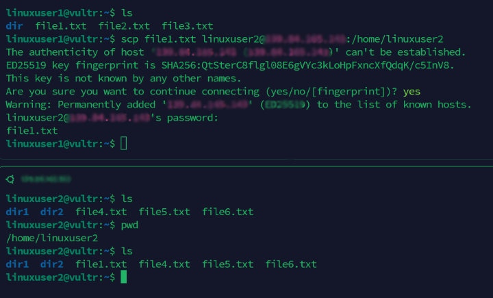 How To Use The Scp Command In Linux Vultr Docs