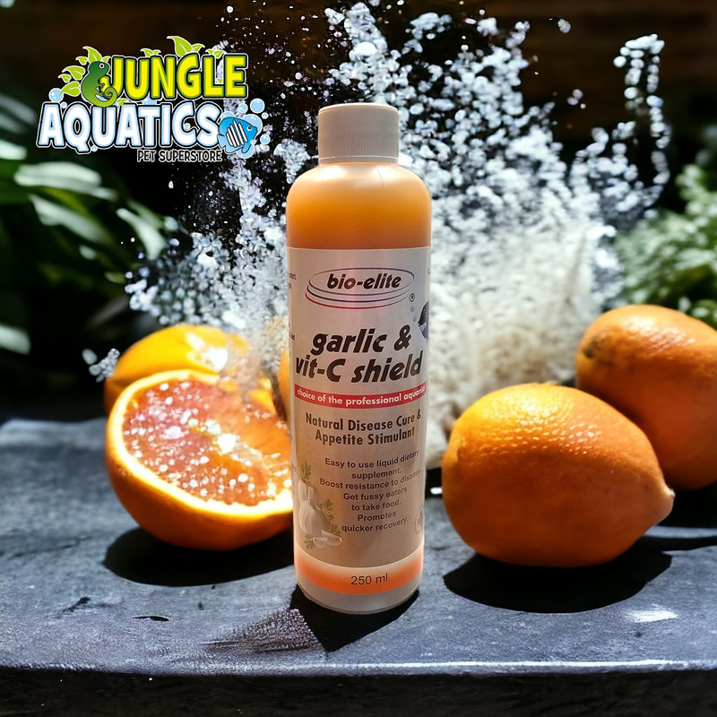 Bio-Elite Garlic & Vit-C Shield - Your Ultimate Solution for Healthier ...