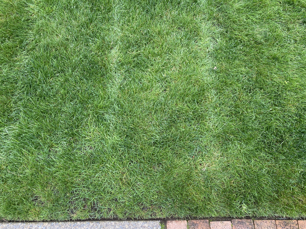 IMG 0622 — Postimages