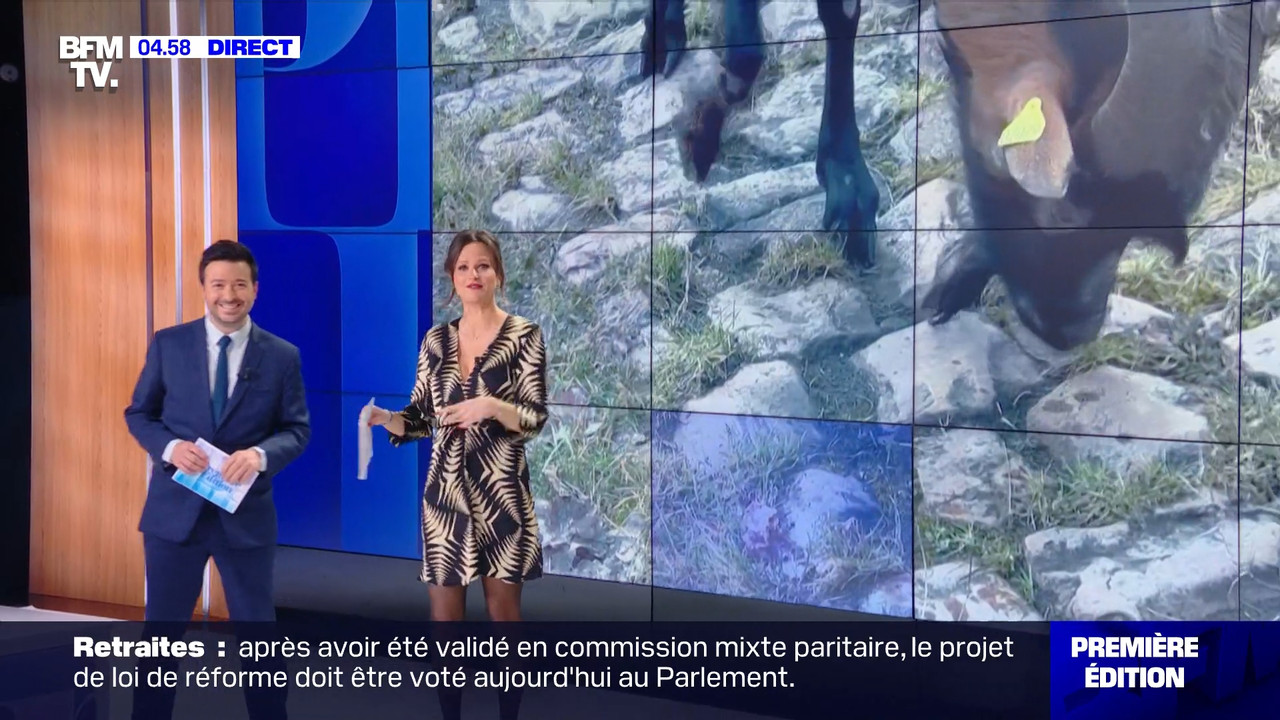 P EDITION 2023 03 16 03 25 00 ts snapshot 00 35 59 339 — Postimages