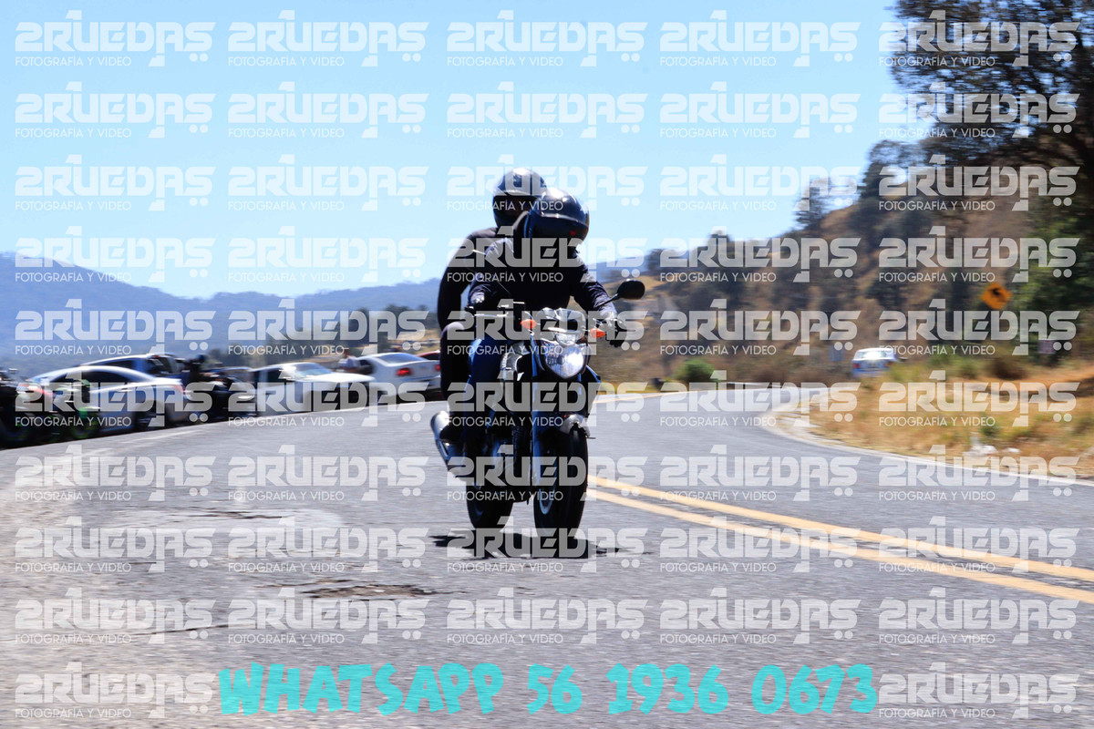 MG 1267 — Postimages