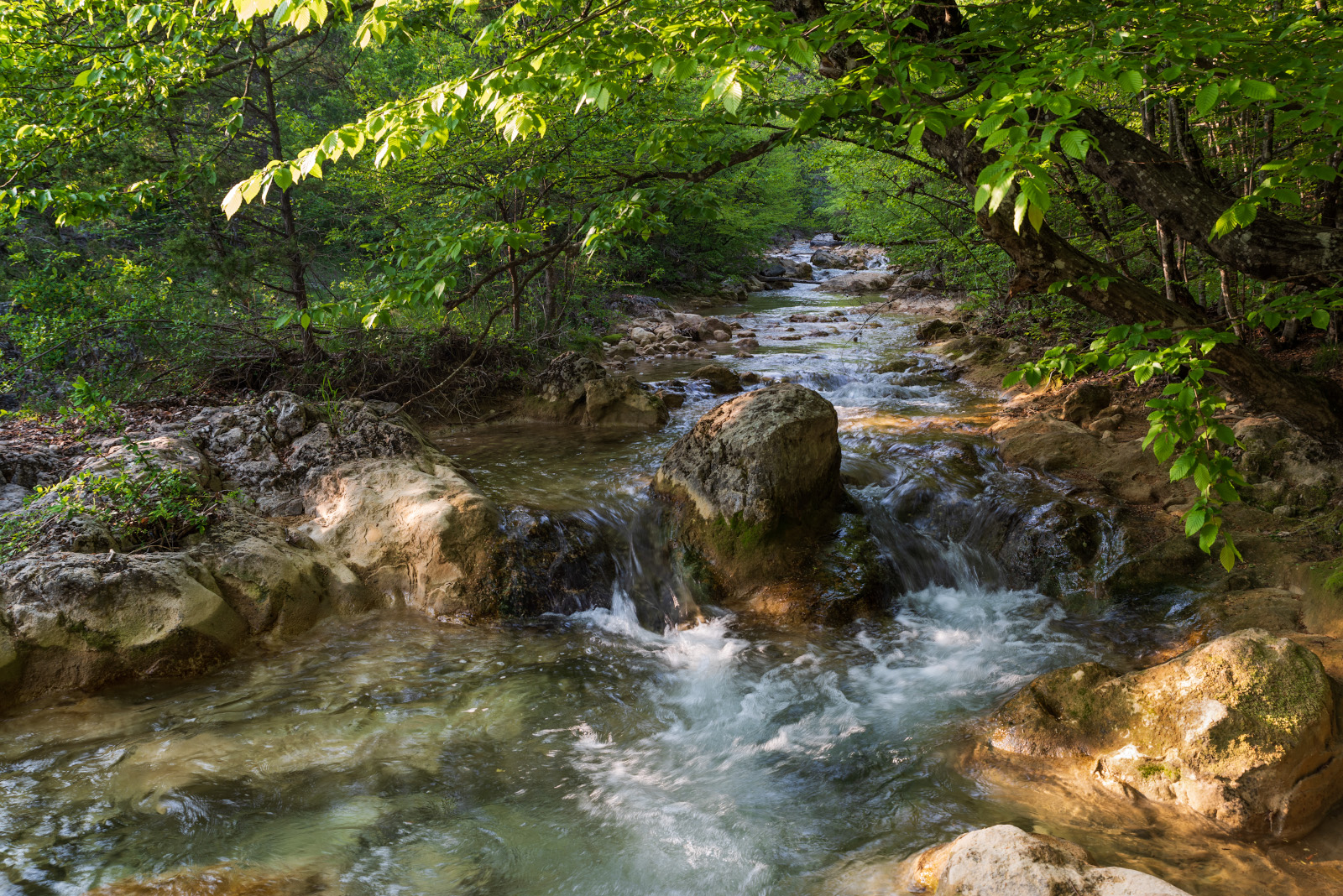 V0002588 1600 — Postimages