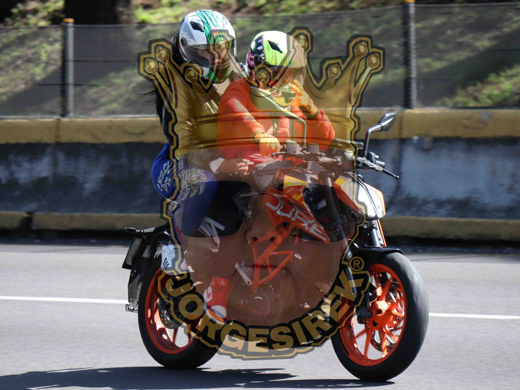 IMG 6223 — Postimages