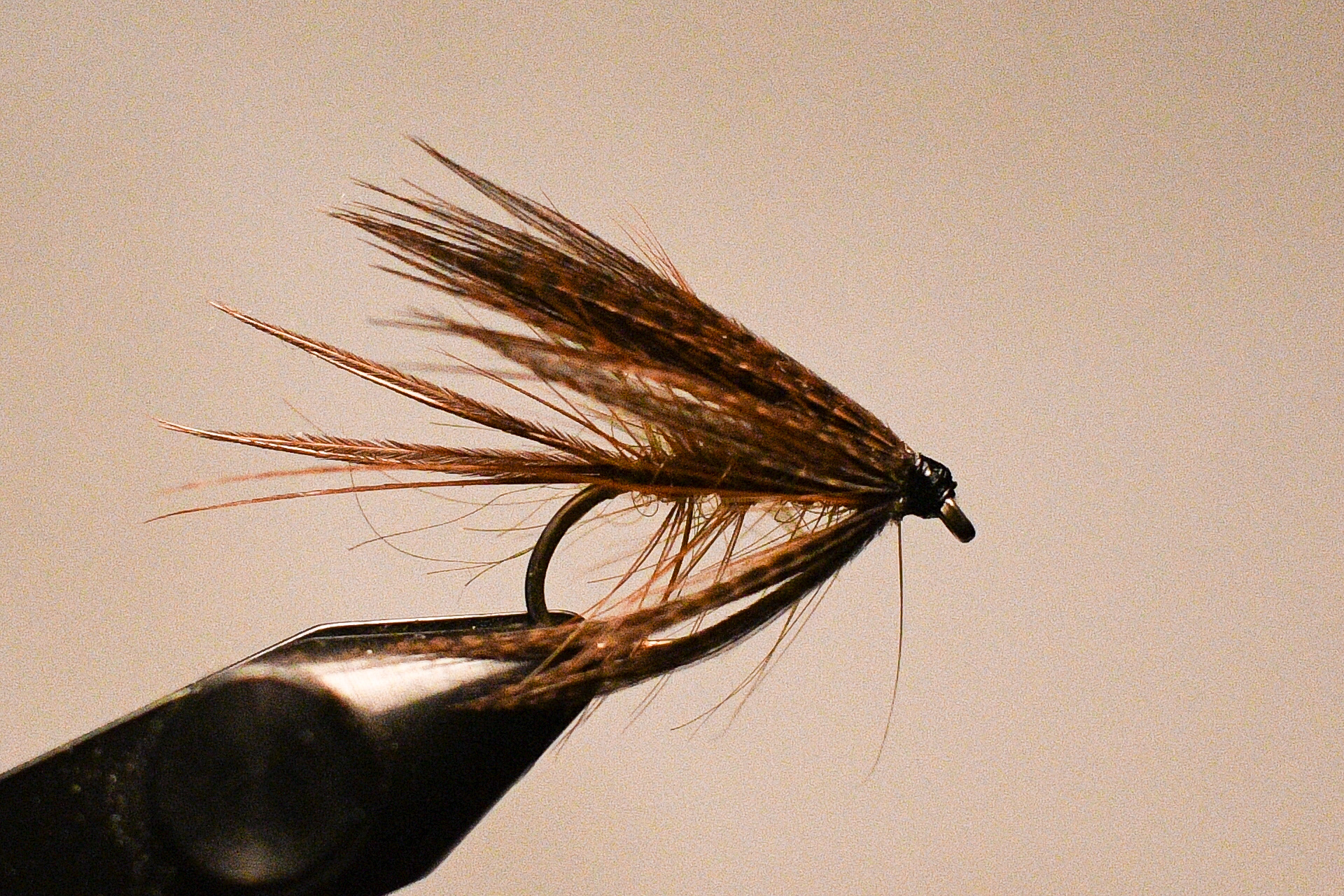 BCW 0526 edited — Postimages