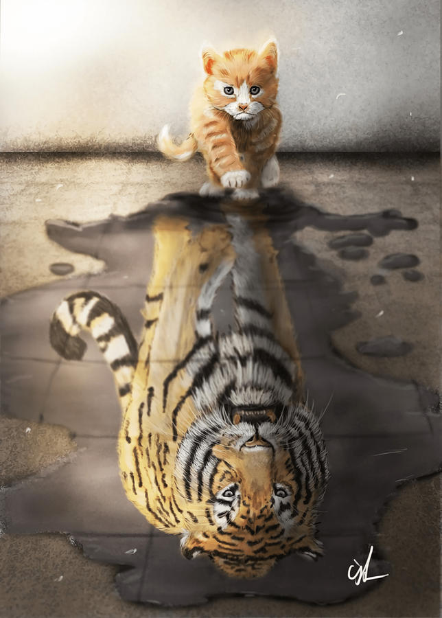 believe in yourself cat tiger reflection canvas dan logan — Postimages