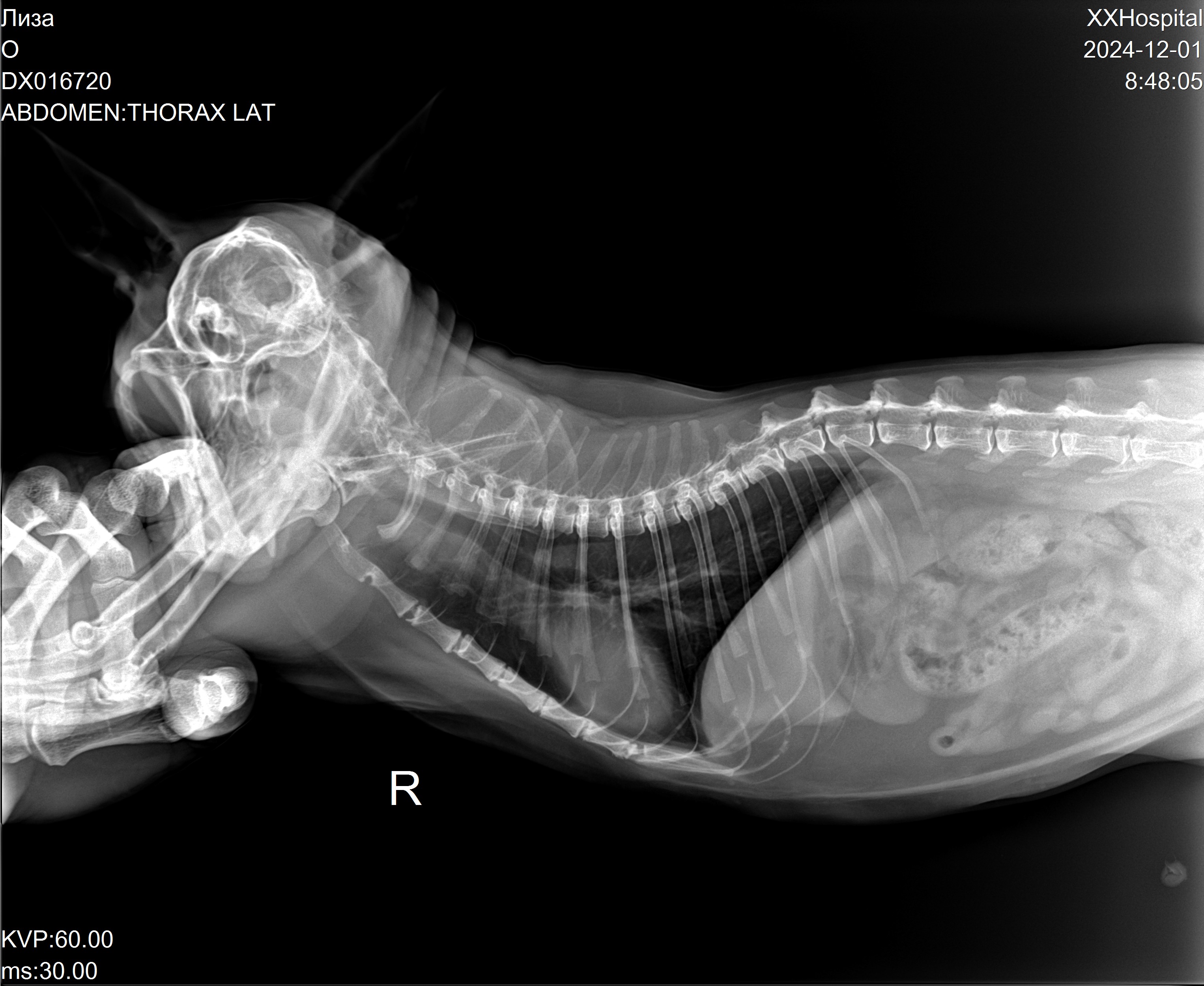 DX016720 1 — Postimages