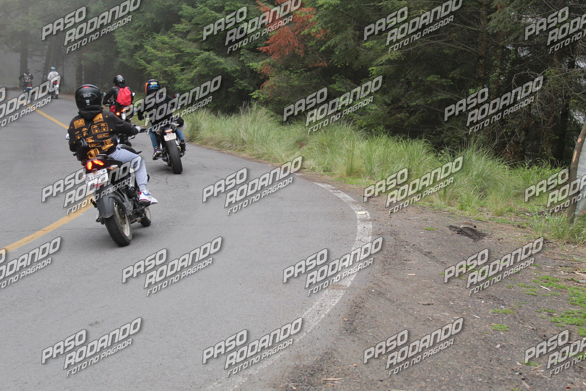 IMG 0148 wm 33458 200000000186 watermarked — Postimages