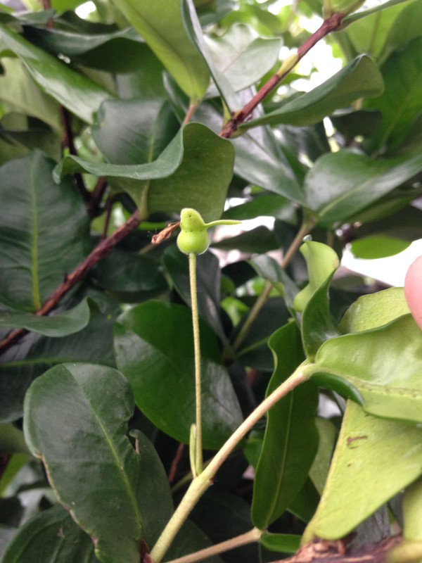 IMG 1189 — Postimages