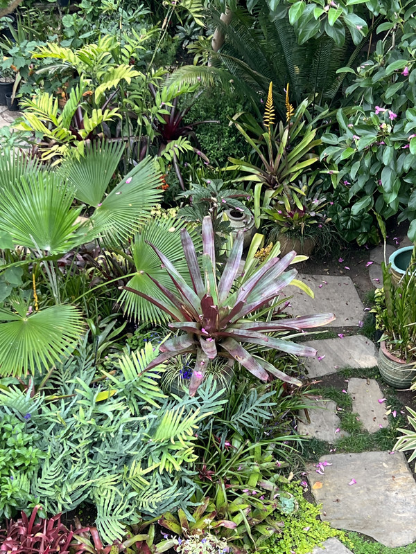 IMG 5388 — Postimages