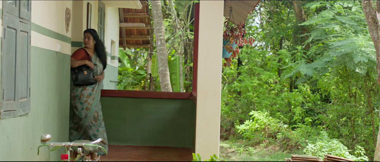 vlcsnap 2025 04 13 11h56m08s297 — Postimages